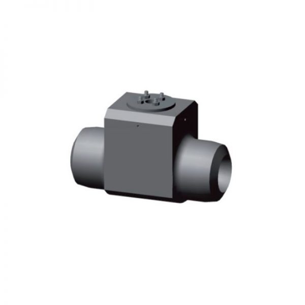 Strack Swing Check Valves - Heap & Partners